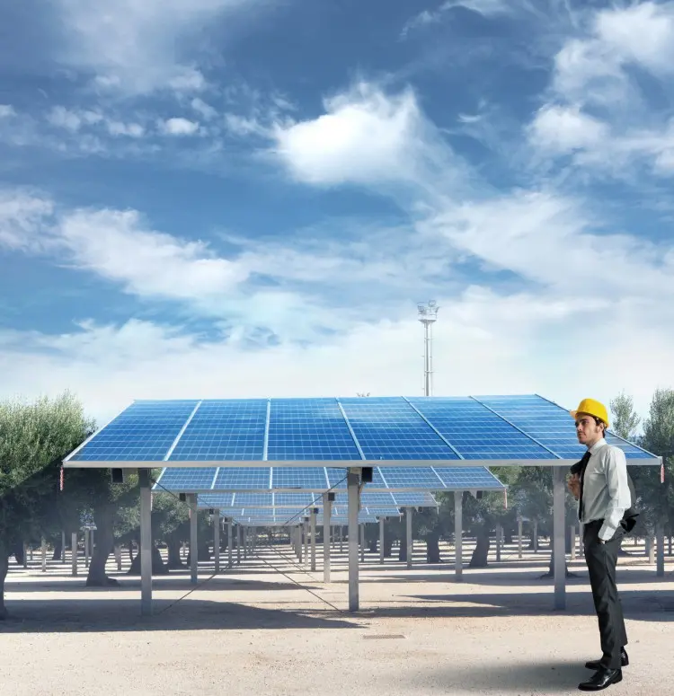 IESO Announces Successful LRP Projects